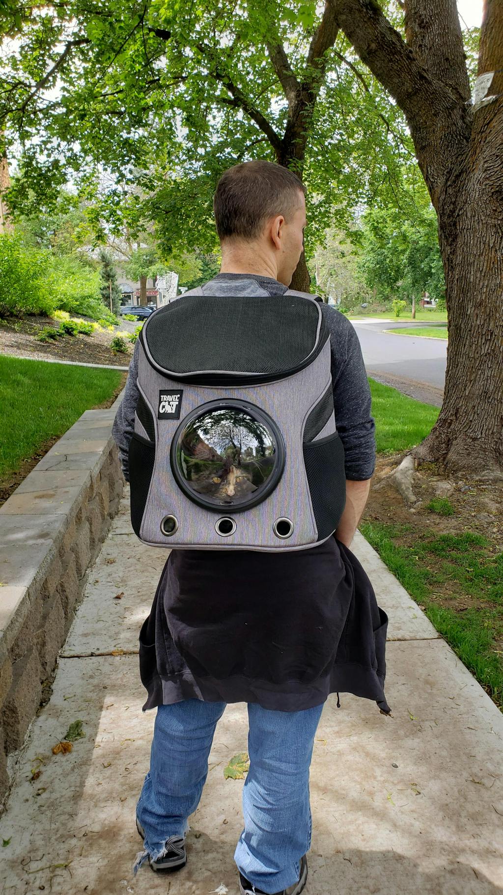 "The Fat Cat" Mini Cat Backpack - Purple – Your Cat Backpack by Travel Cat