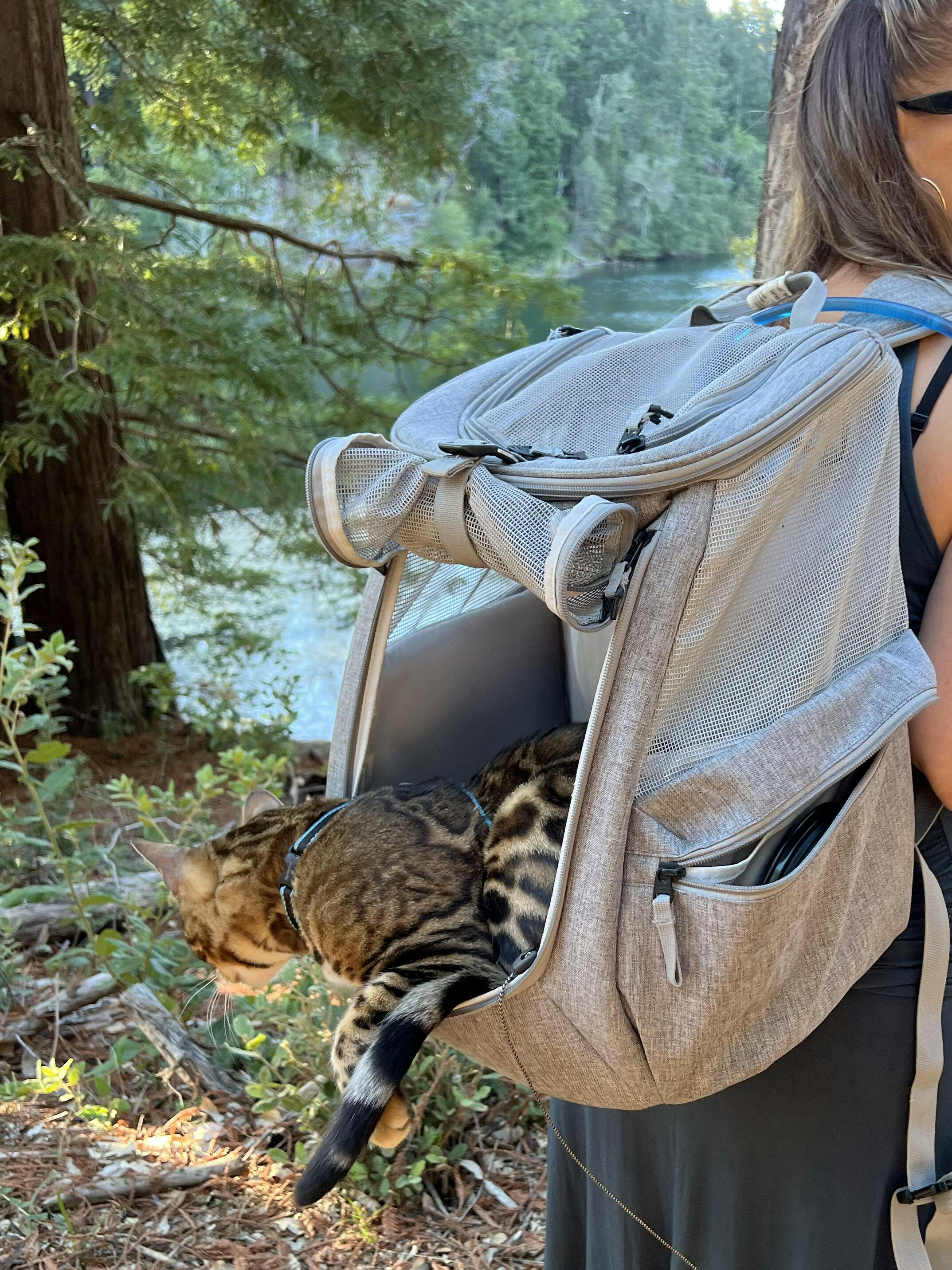 "The Navigator" Convertible Cat Backpack - For Adventurous Cats and Hu ...
