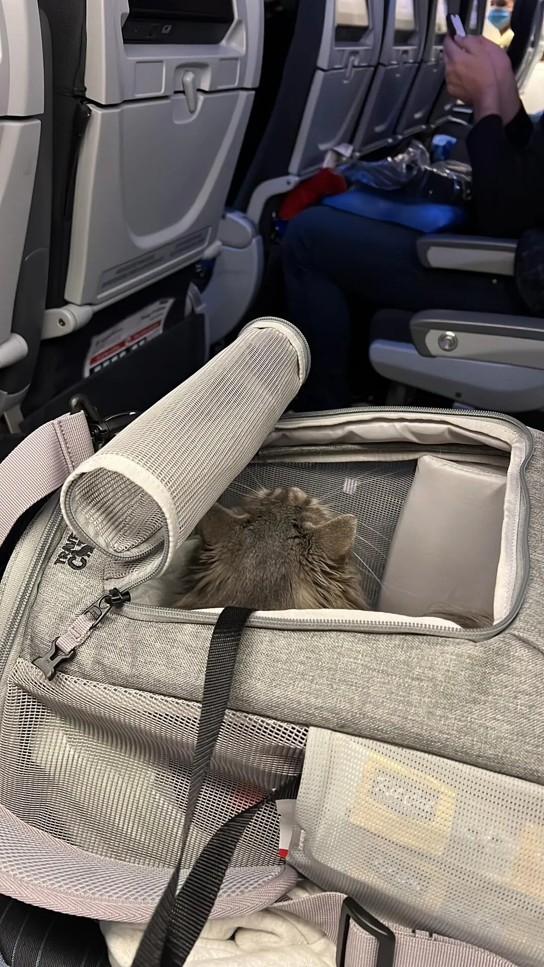 "The Navigator" Convertible Cat Backpack - For Adventurous Cats and Hu ...
