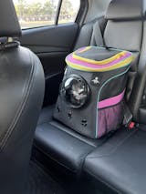 Stray x Travel Cat Backpack - Limited-Edition – Your Cat Backpack by ...