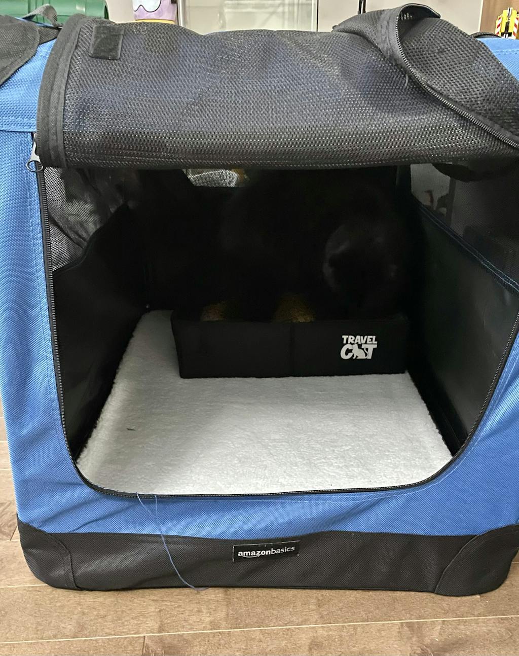 "The Porta-Pawty" Travel Litter Box - Portable Bathroom for Cats ...