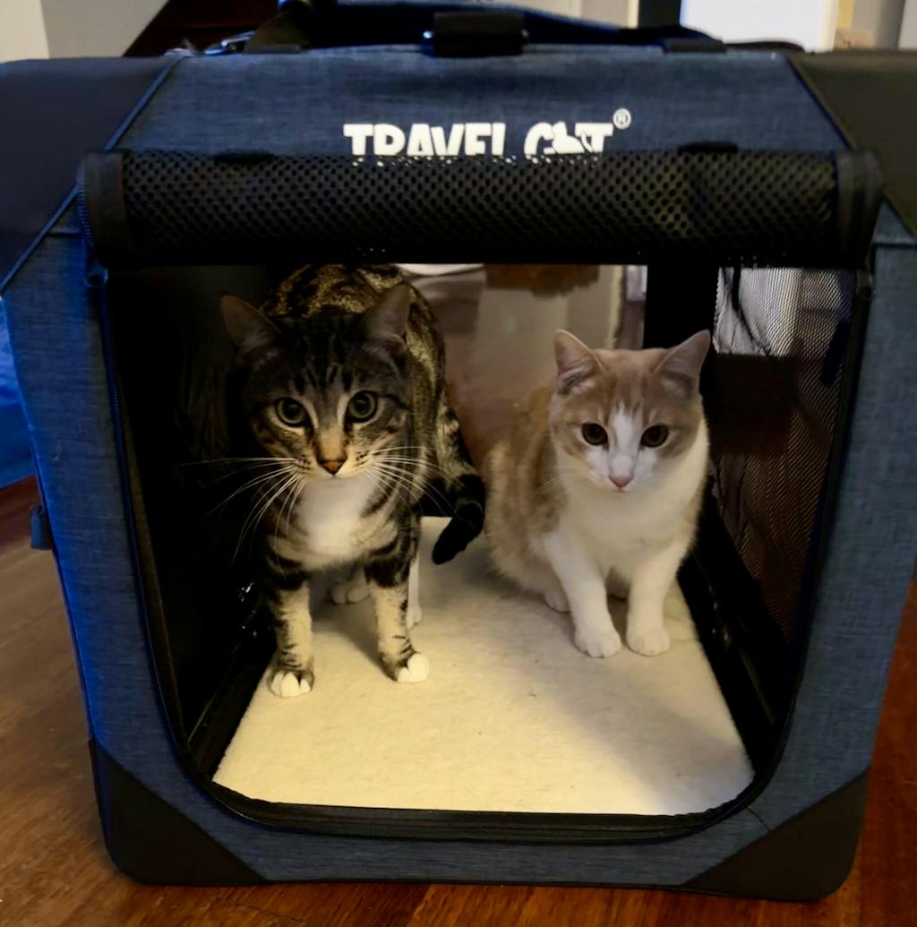 "The Boop Coop" Collapsible Travel Cat Crate & Carrier – Travel Cat ...