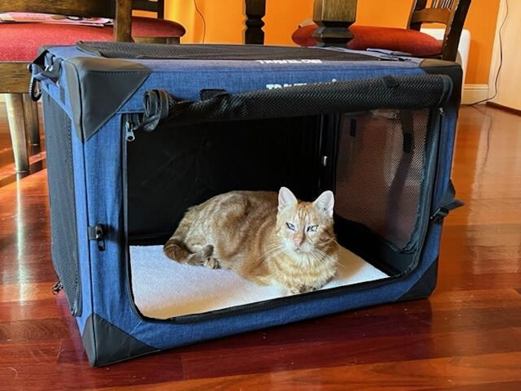 "The Boop Coop" Collapsible Travel Cat Crate & Carrier – Travel Cat ...