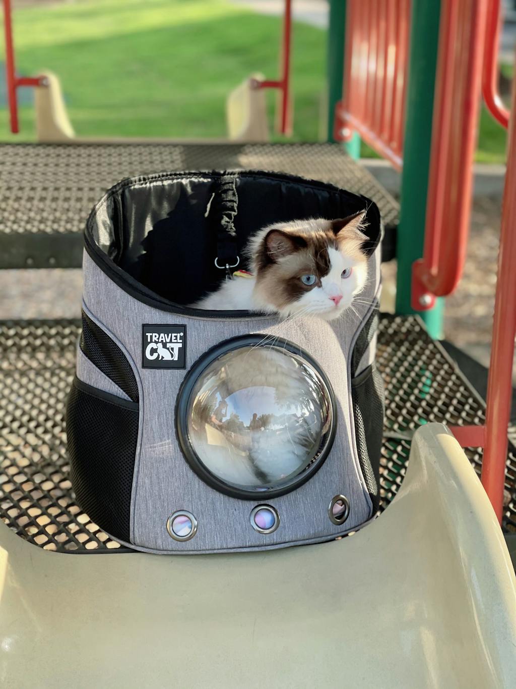 "The Fat Cat" Mini Cat Backpack – Your Cat Backpack by Travel Cat