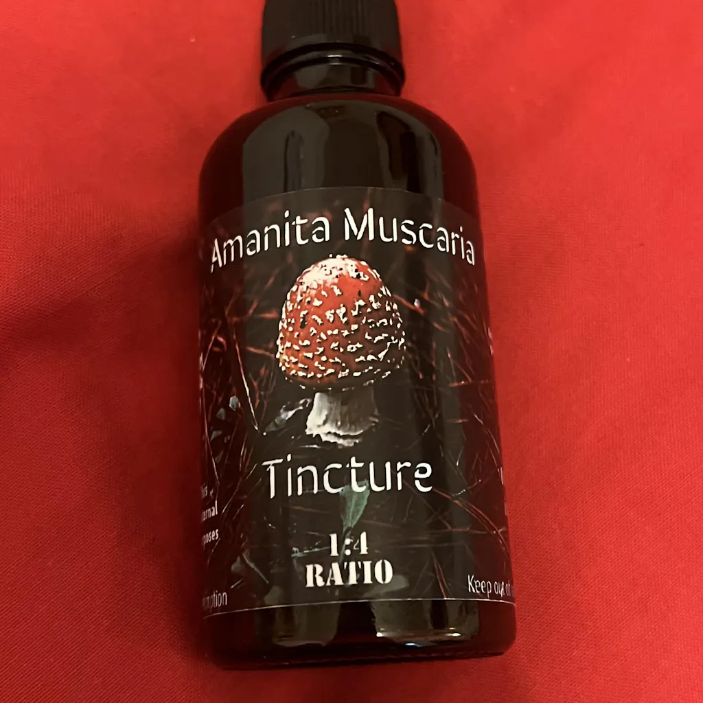 1:4 Amanita Muscaria Tincture Made With Organic Ethanol and Spring ...
