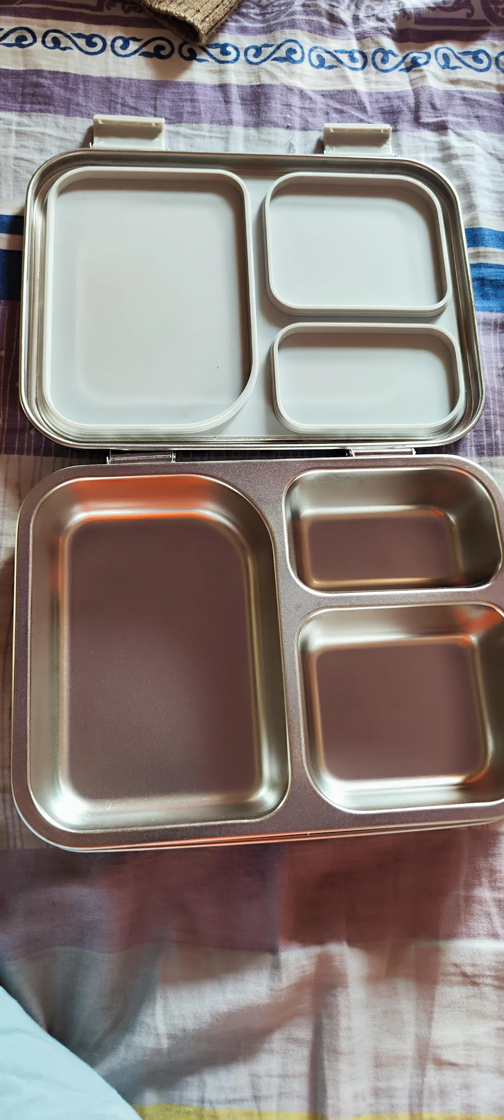 Basil Bento Lunch Box | Grey – yourbasil