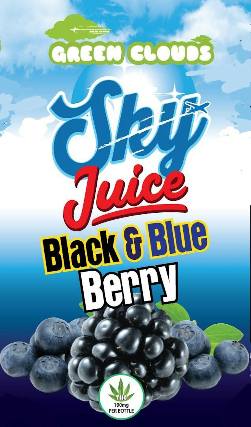 Blueberry Juice Powder - Organic