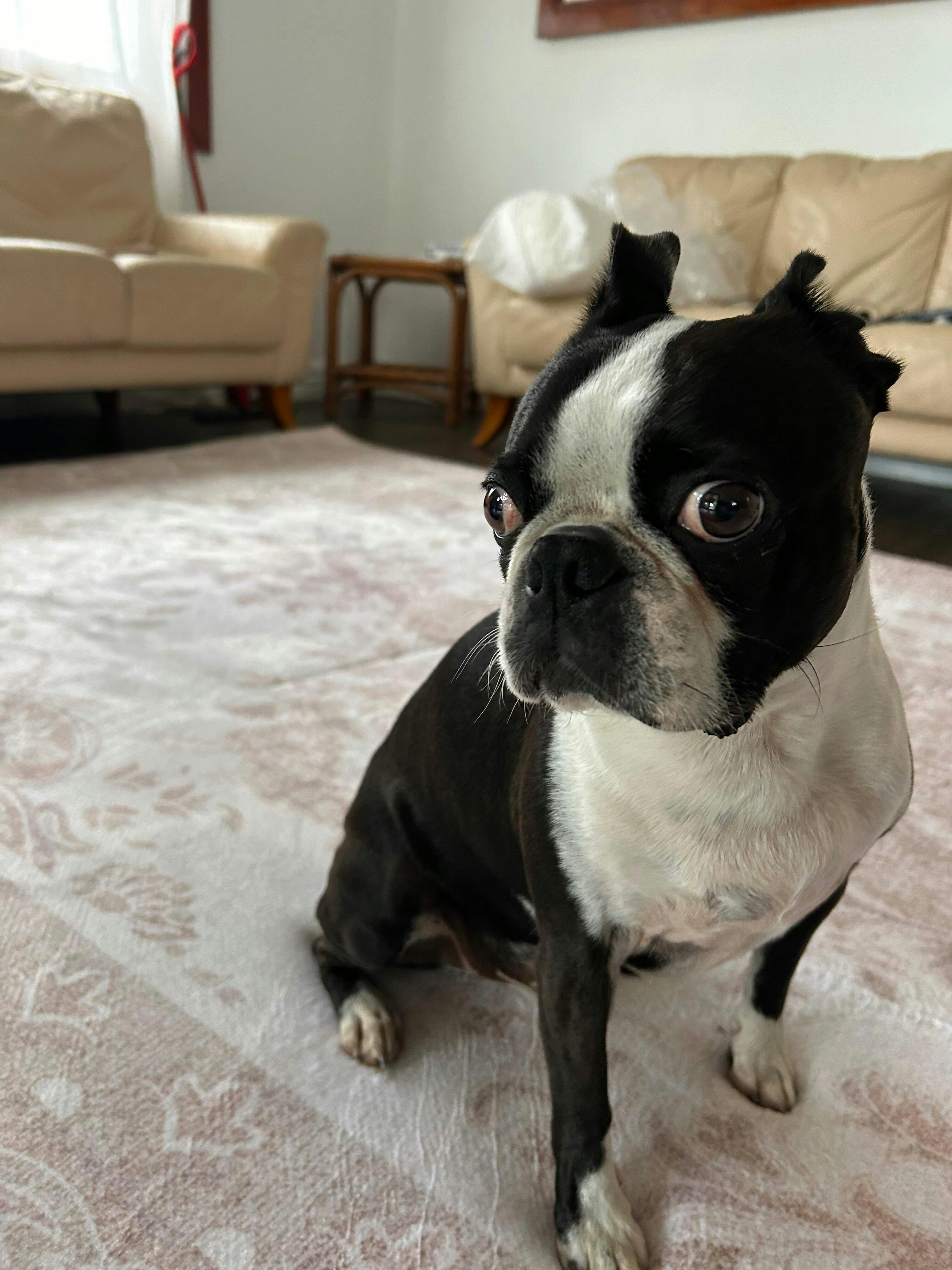 Geometric Grey Designer Memory Foam Play Mat – Zenli