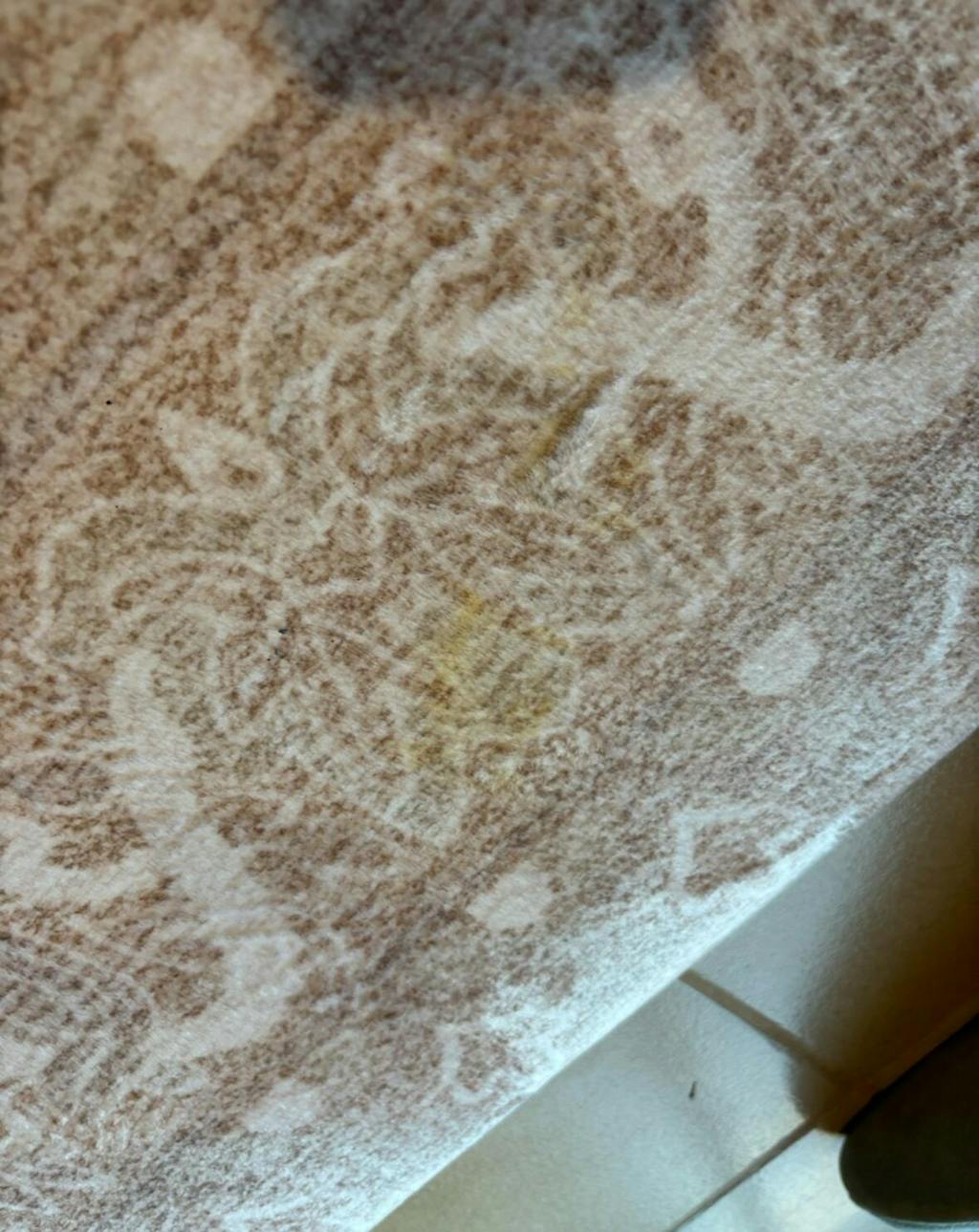 The Memory Mat – Zenli