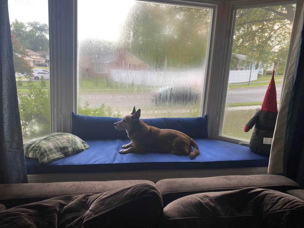 Trapezoid Bay Window Cushions | ZIPCushions