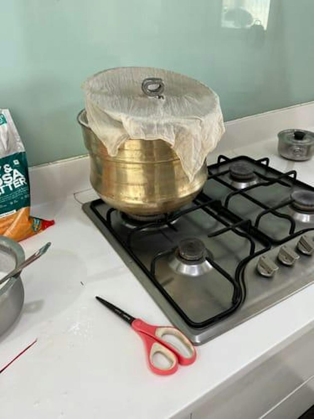 Traditional Brass Idli Pathram (Cooker/Maker/Steamer) Polished | Zishta