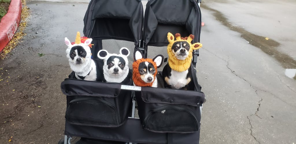 Panda Dog Snood - Knit Dog Costume by Zoo Snoods