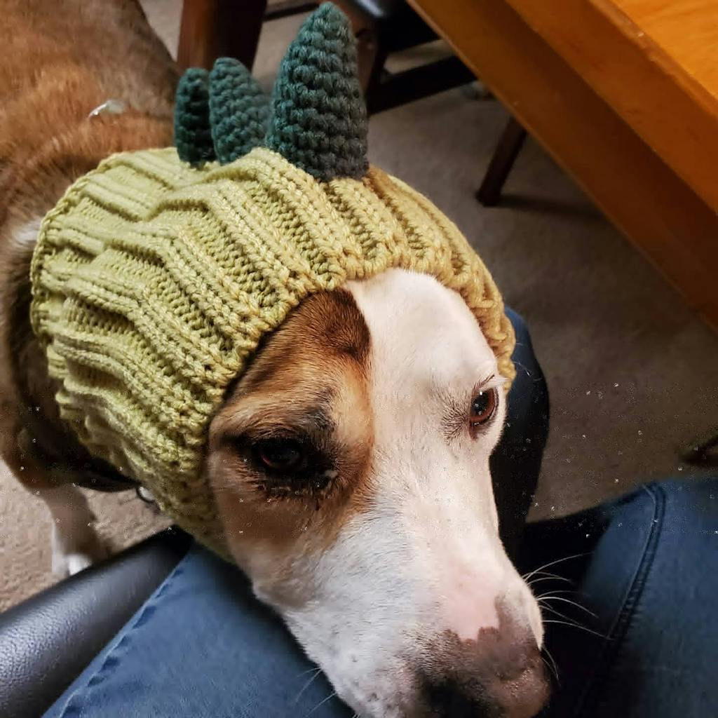 Dinosaur Dog Snood - Knit Dog Costume by Zoo Snoods