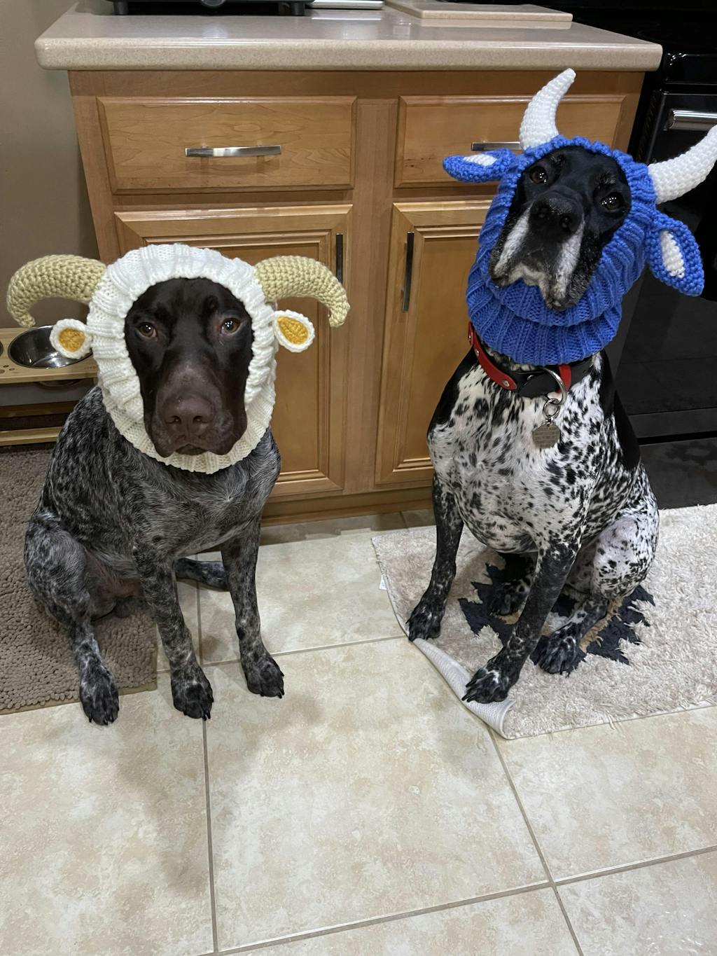 Goat Zoo Snood - The Viral Cute Crochet Dog Snood Costume to Keep Warm ...