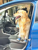 Zoof Plops – Zoof Pets