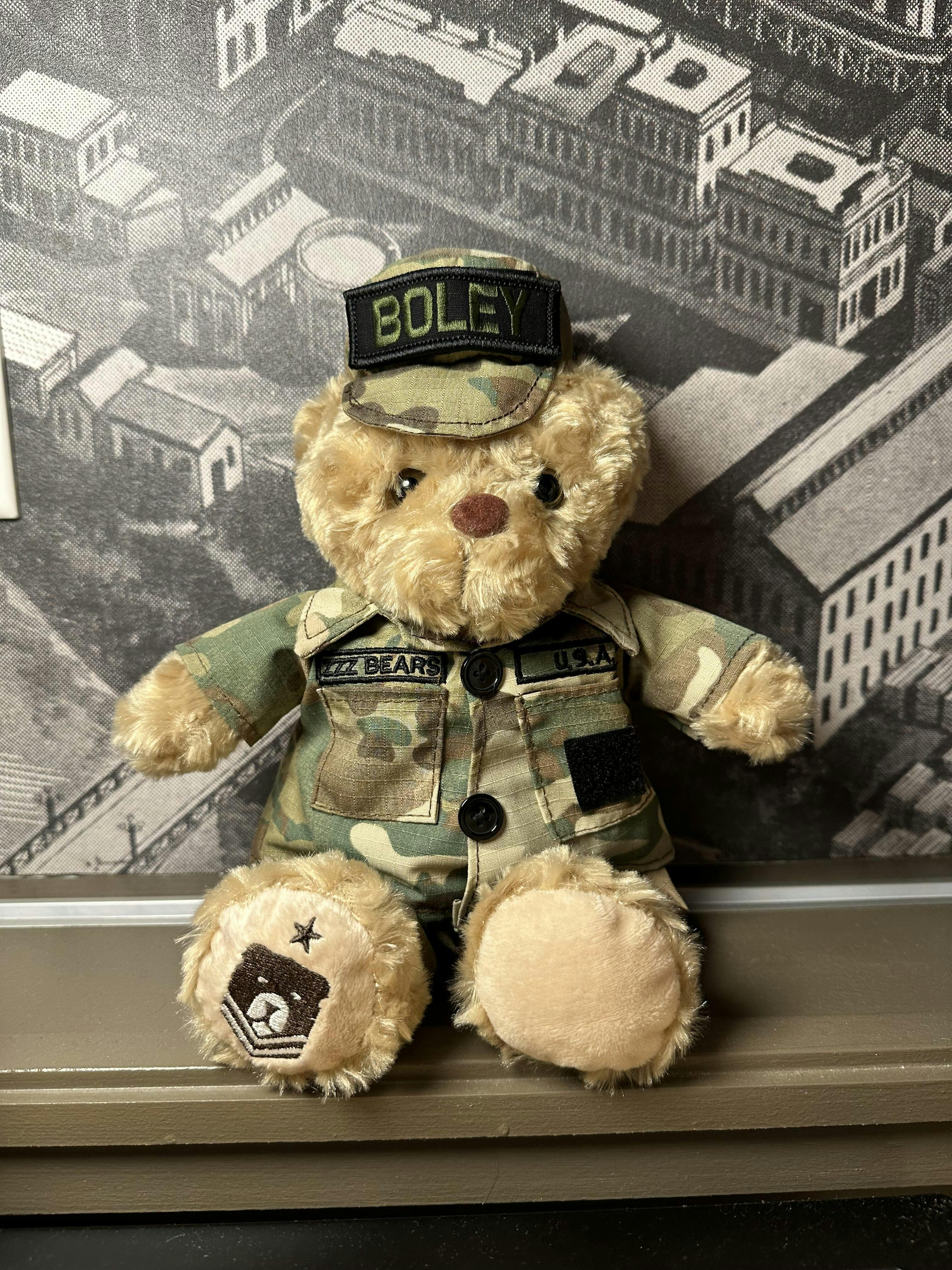 ZZZ Bears - #1 Marine Teddy Bear